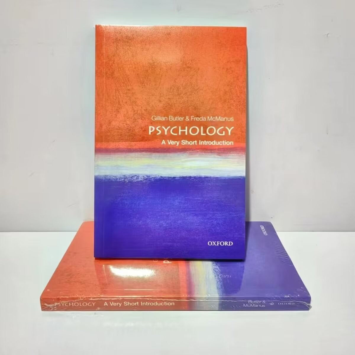 Psychology A Very Short Introduction – ReadMoreDXB